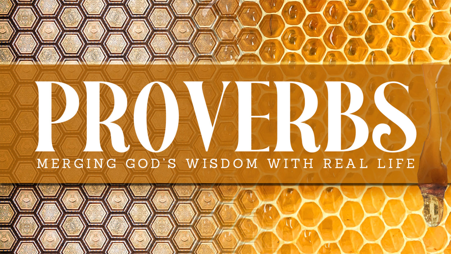 An Introduction to Proverbs | LifeWay Church